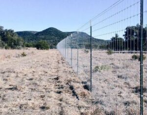 Pest Control Specialists - Namibia Pest Control Specialists