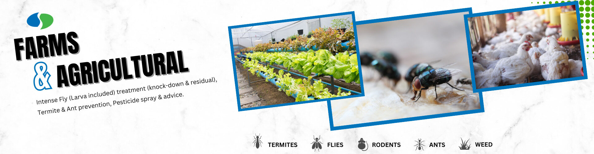 Pest Control Specialists - Namibia Pest Control Specialists