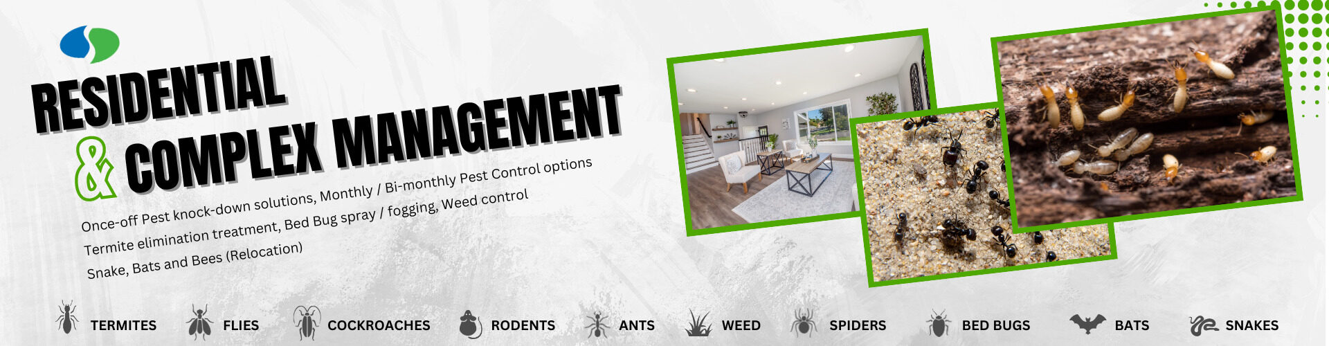 Pest Control Specialists - Namibia Pest Control Specialists